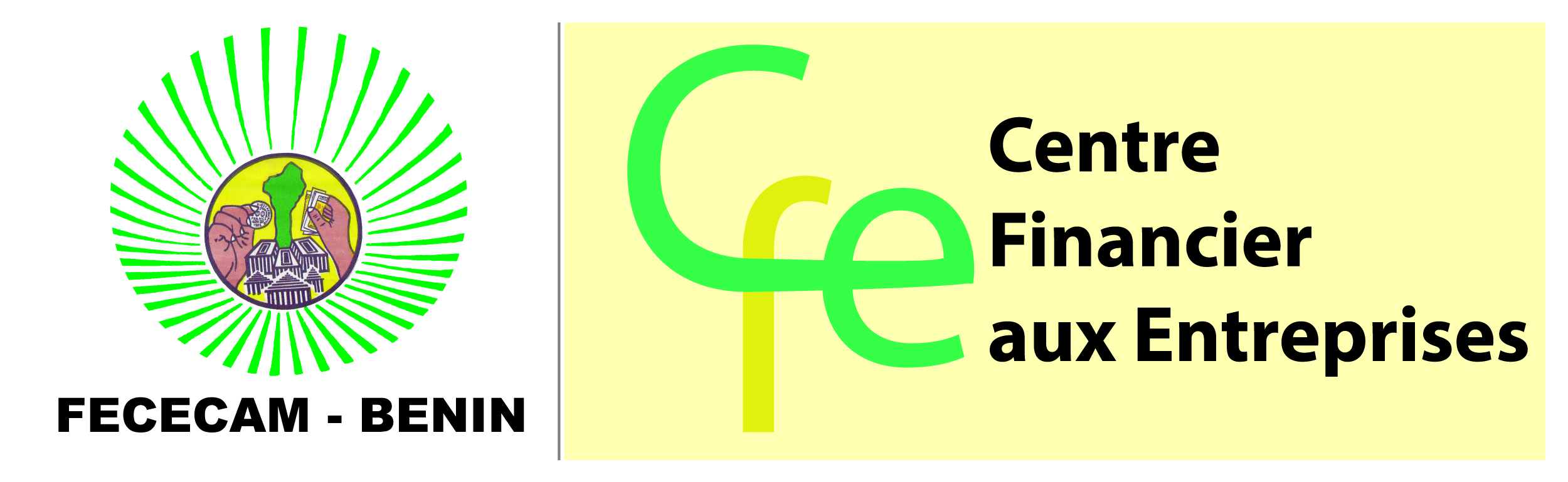 Logo CFE FECECAM B NIN